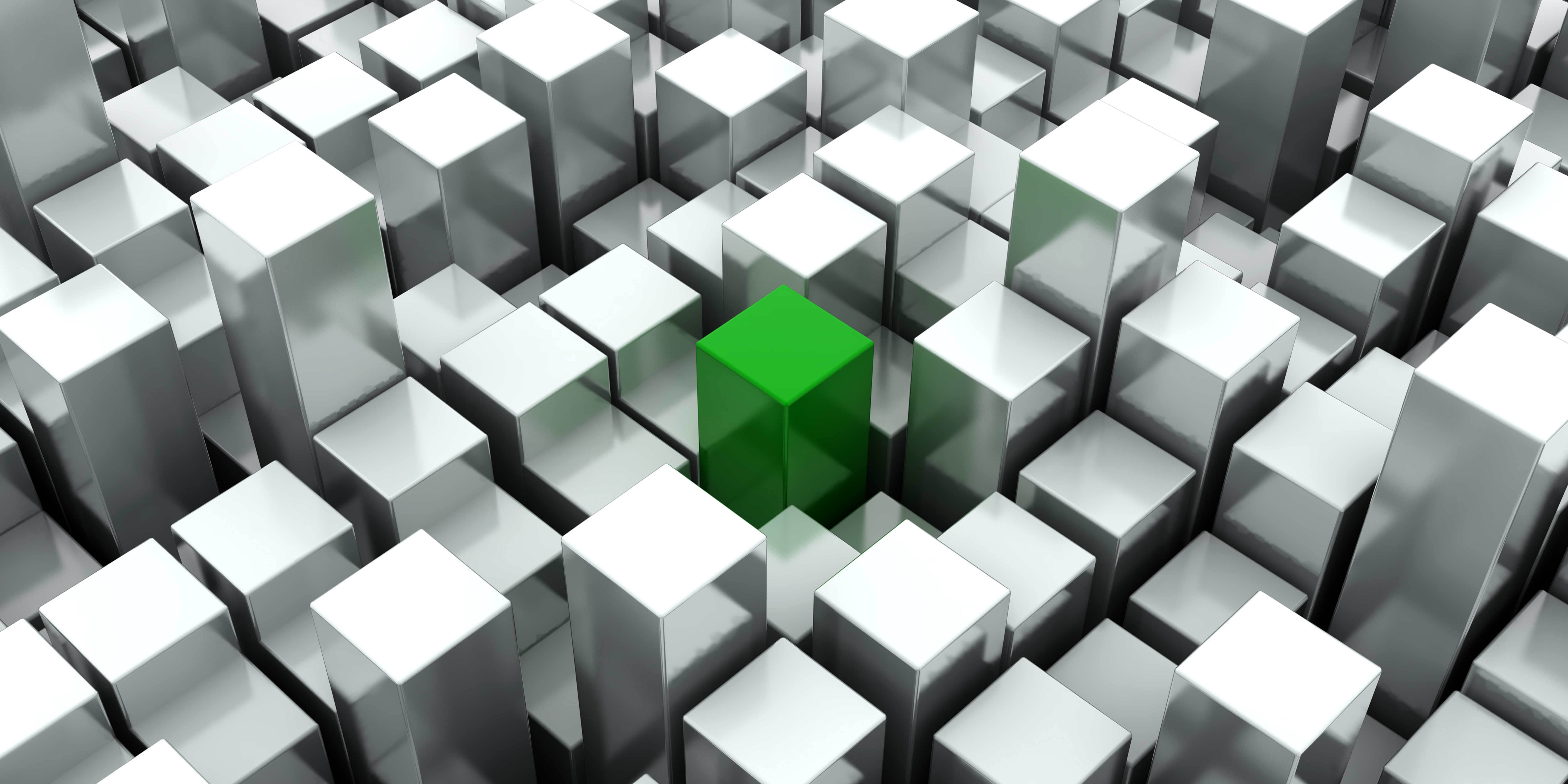 The Leadership Mirror